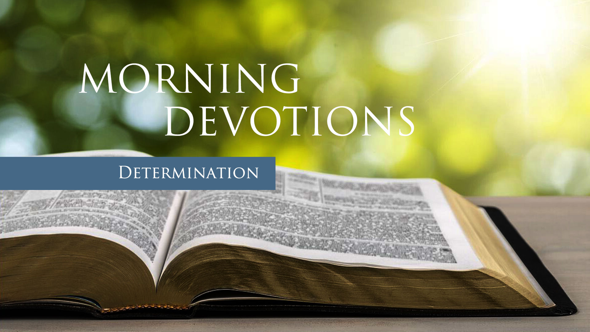Determination - Bible Baptist Church