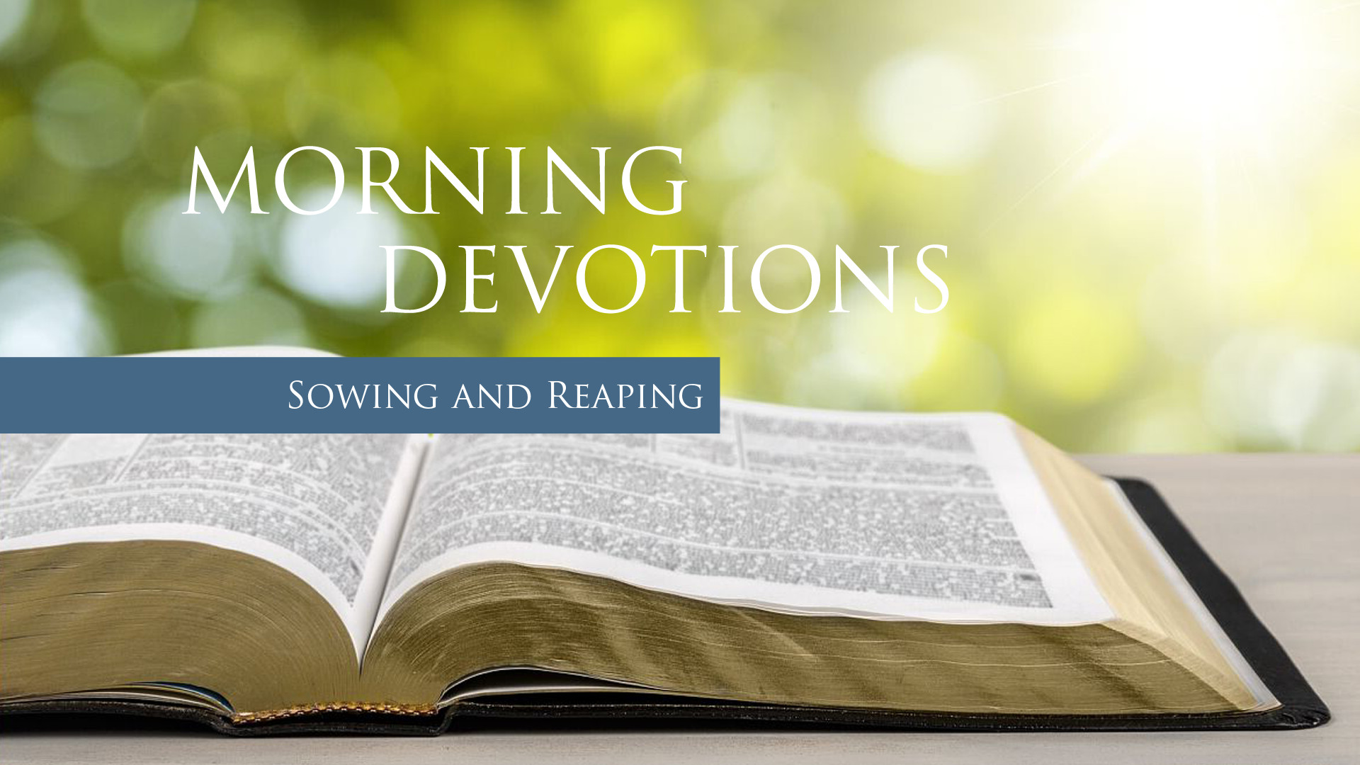 Sowing and Reaping - Bible Baptist Church