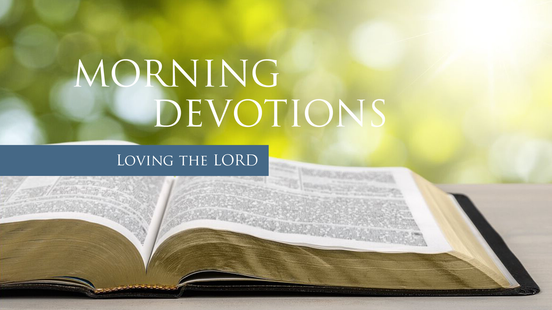 Loving the LORD - Bible Baptist Church