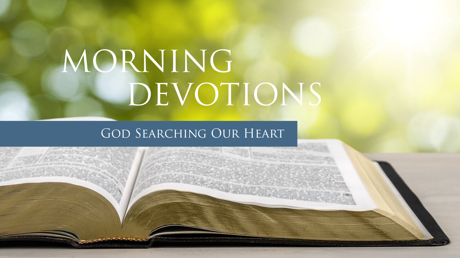 God Searching Our Heart - Bible Baptist Church