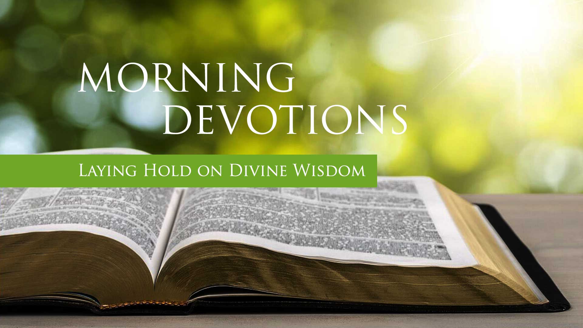 Laying Hold on Divine Wisdom - Bible Baptist Church
