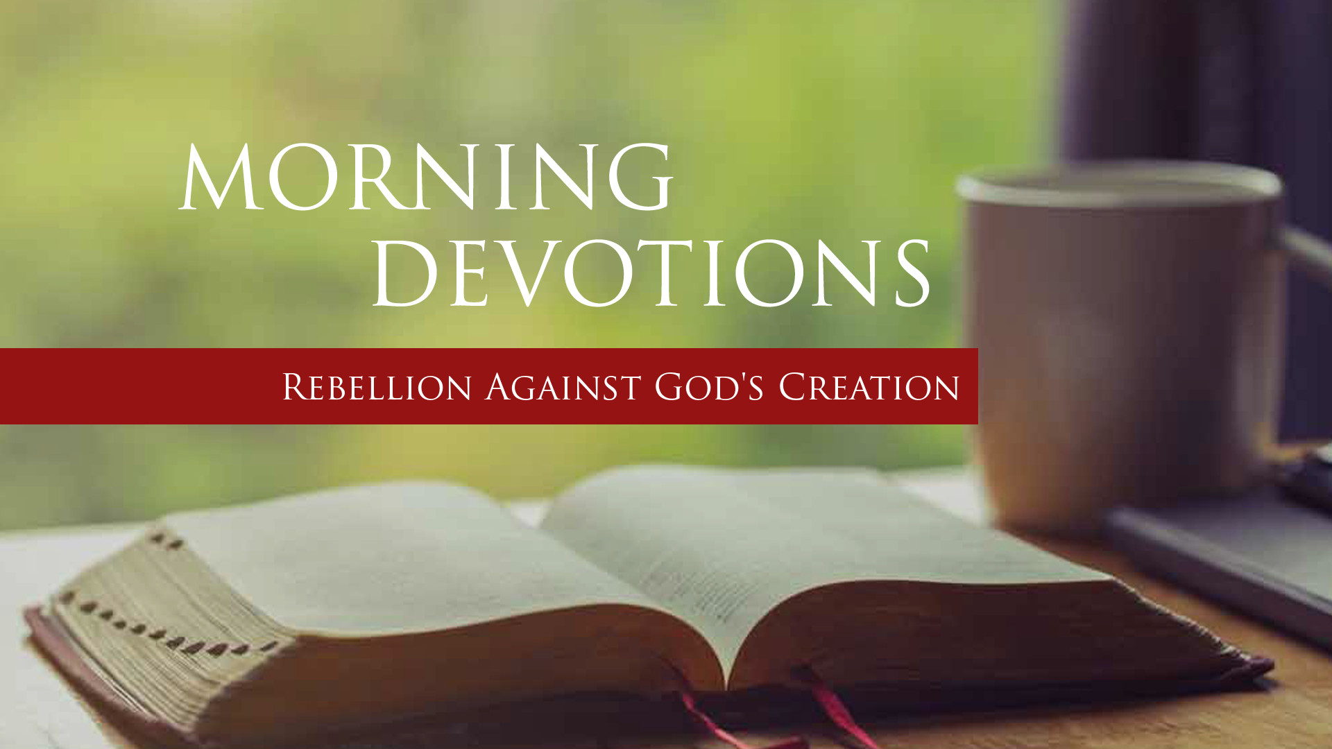 Rebellion Against God's Creation - Bible Baptist Church